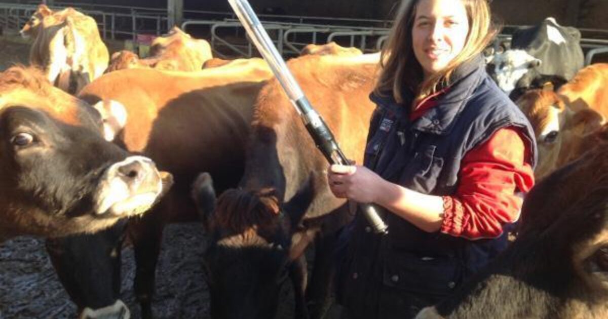 AlphaVision - Giorgia M. - IMV Technologies Spain